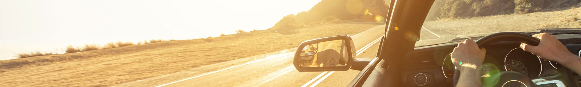 Contactez-nous | Auto Devenzo